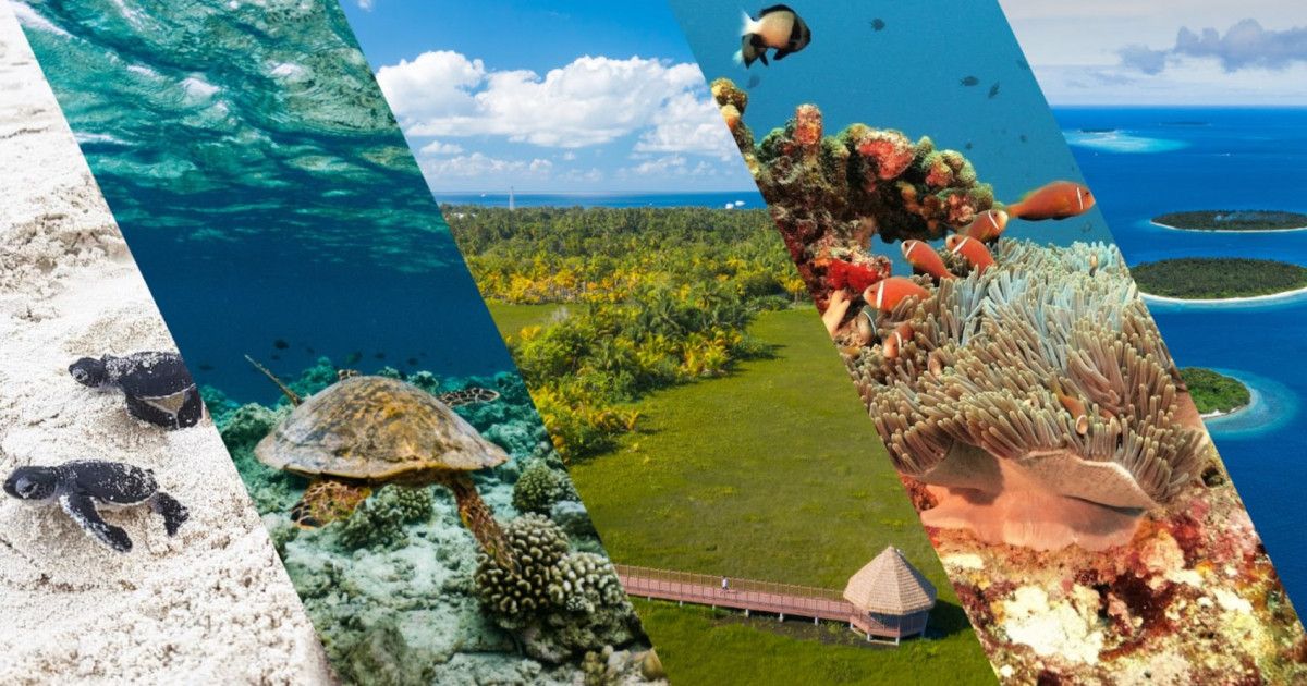 Visit Maldives - Experiences > Maldives; tackling the climate crisis ...