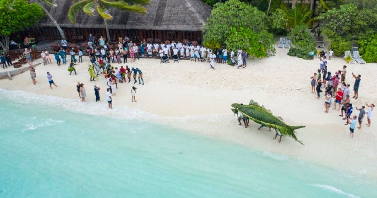 Visit Maldives - Experiences > The Story of Bodu Mas and Koadi Kendun