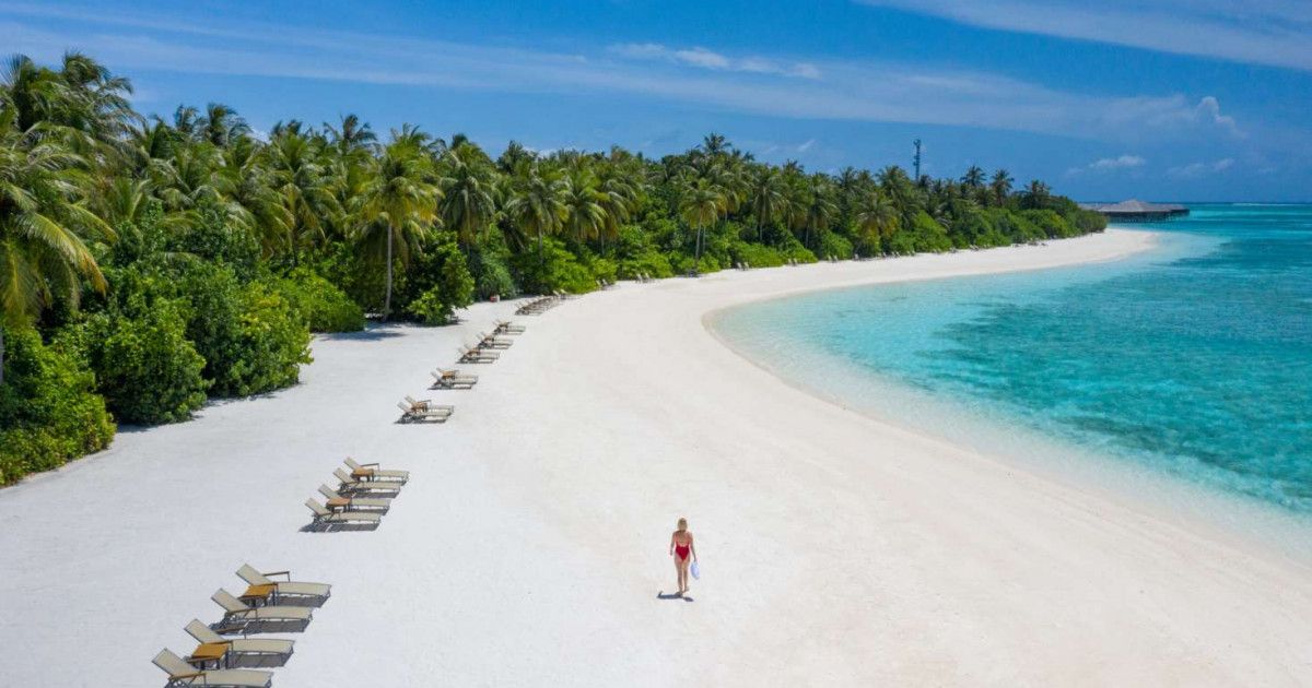 Visit Maldives - News > Cocoon Maldives unveils a fresh look for the ...