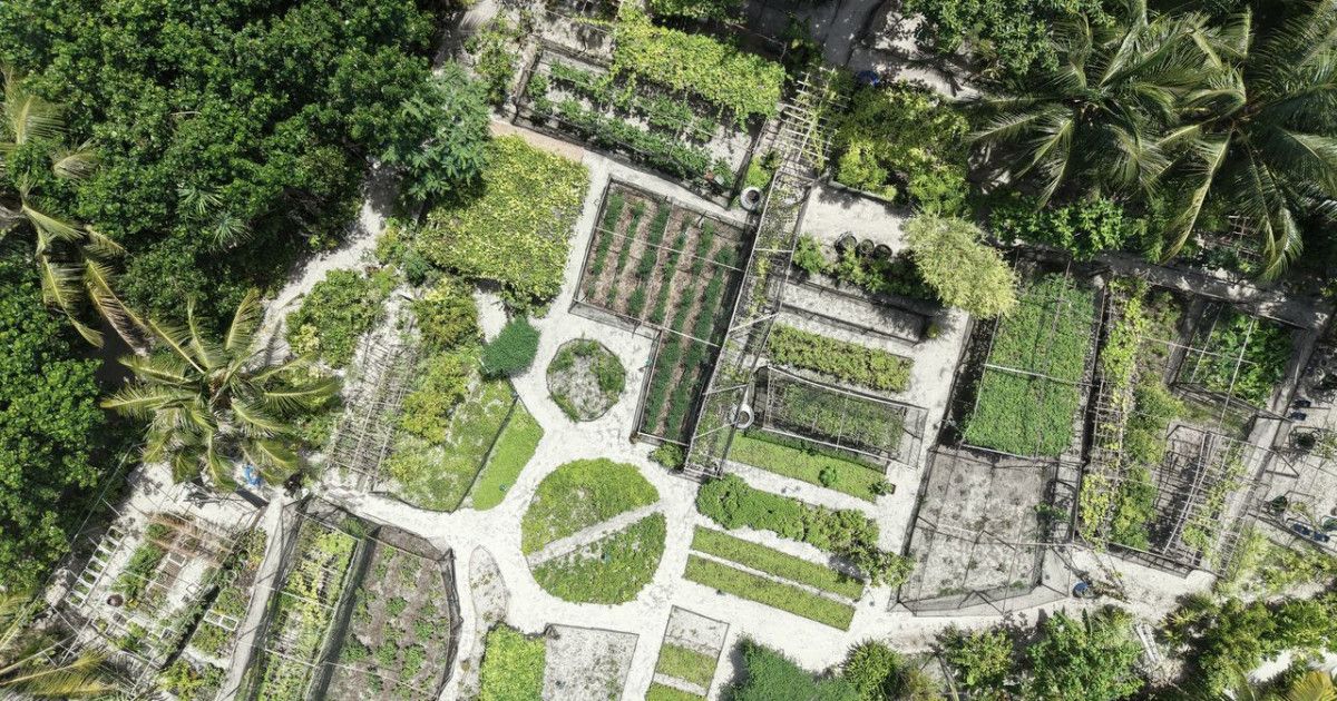 Visit Maldives - News > Coco Palm Dhuni Kolhu, leading with purpose in ...