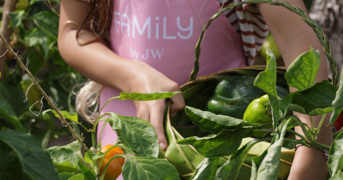 Visit Maldives - News > Experience the Art of Sustainable Living with ...