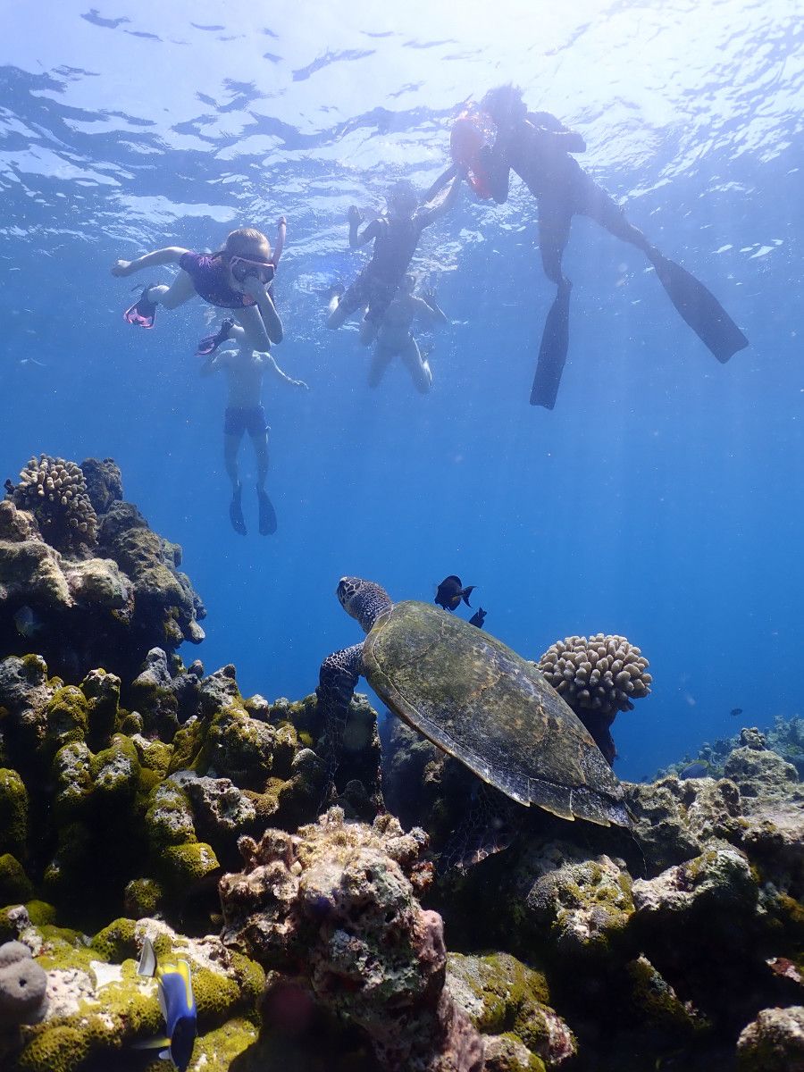 Visit Maldives - News > Alila Kothaifaru Maldives, a Hyatt resort ...